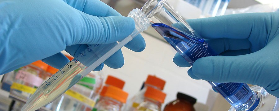 類別 | SACHEM, Inc.